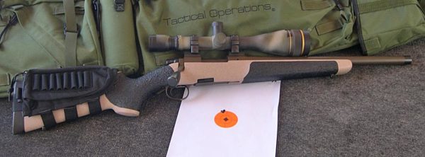 BOLT ACTION DESIGNATED MARKSMAN/SNIPER RIFLE (DM/S-R) CONCEPT RIFLE ...