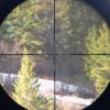SWFA SS 10X42MM TACTICAL RIFLE SCOPE - Sniper Central