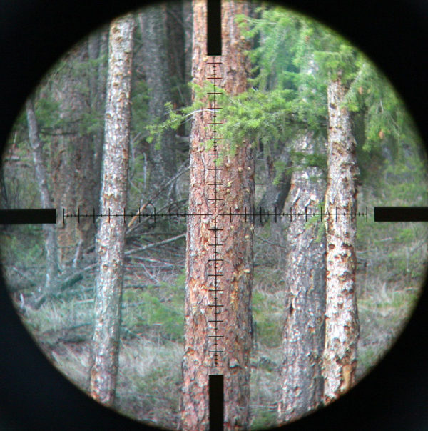 SIG TANGO4 4-16X44MM – FULL REVIEW - Sniper Central