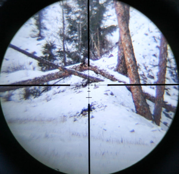 US OPTICS SVS 1-6X24MM FULL REVIEW - Sniper Central