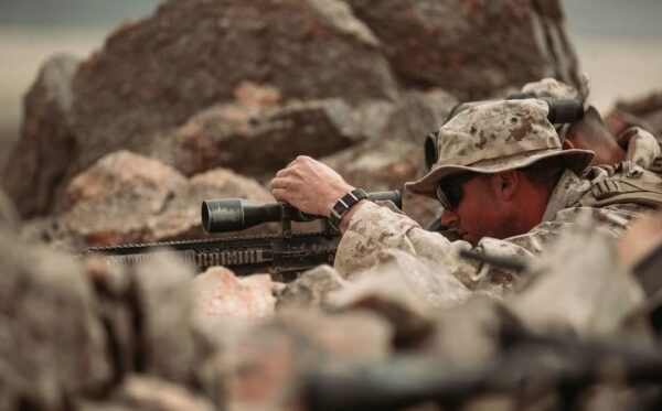 Sniper Central - The leader in independent information about sniping.